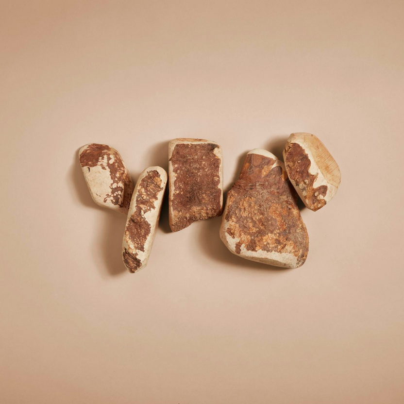 Briar Root Chews for Dogs | Sustainable & All-Natural from CANOPHERA ...