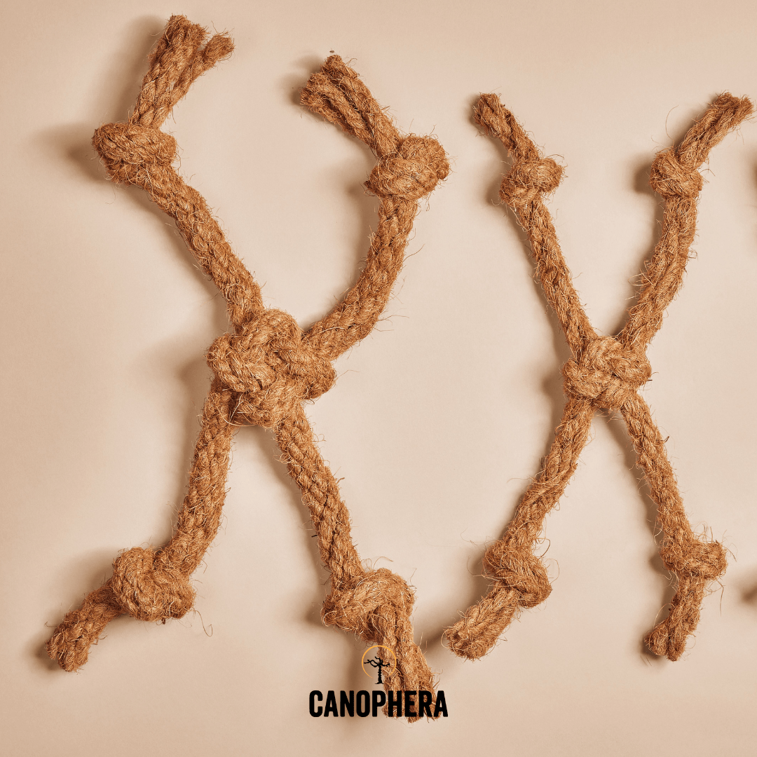 Coconut Rope Toys for Dogs | Sustainable & All-Natural from CANOPHERA ...