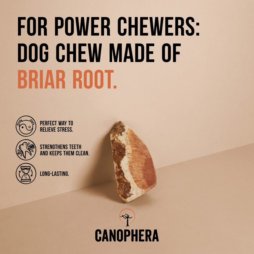 NATURAL WOOD CHEWS FOR DOGS | CANOPHERA – Canophera