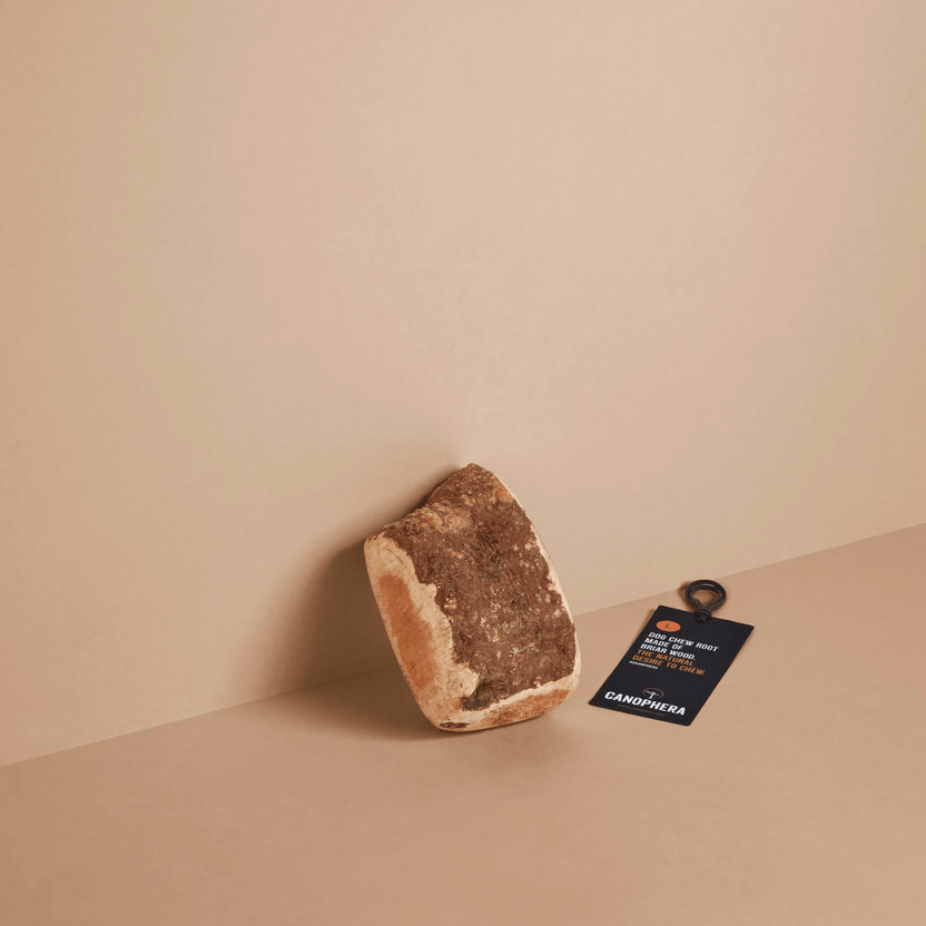Coffee Wood Chews for Dogs | Sustainable & All-Natural from CANOPHERA ...