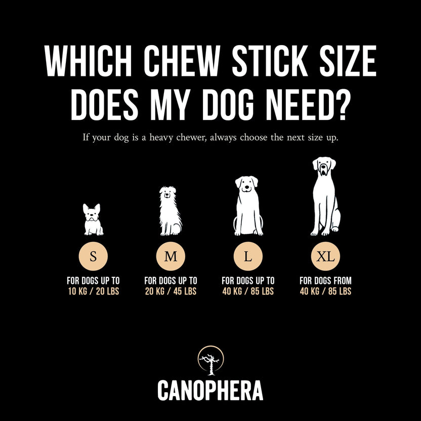 Coffee+Coco Chews for Dogs | Sustainable & All-Natural from CANOPHERA ...