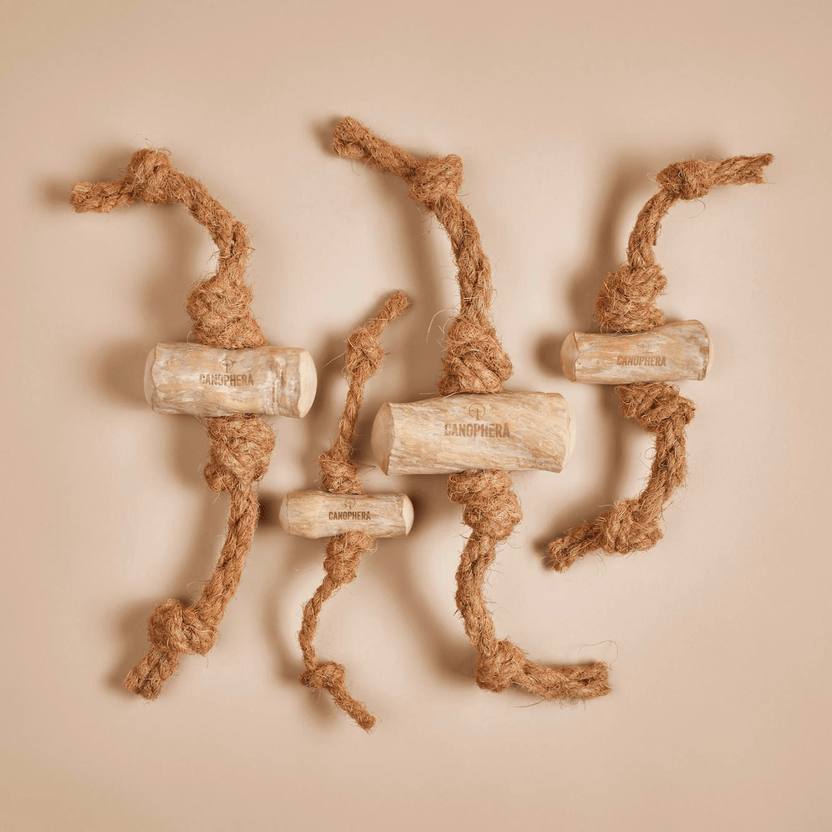Coffee Wood Chews for Dogs | Sustainable & All-Natural from CANOPHERA ...
