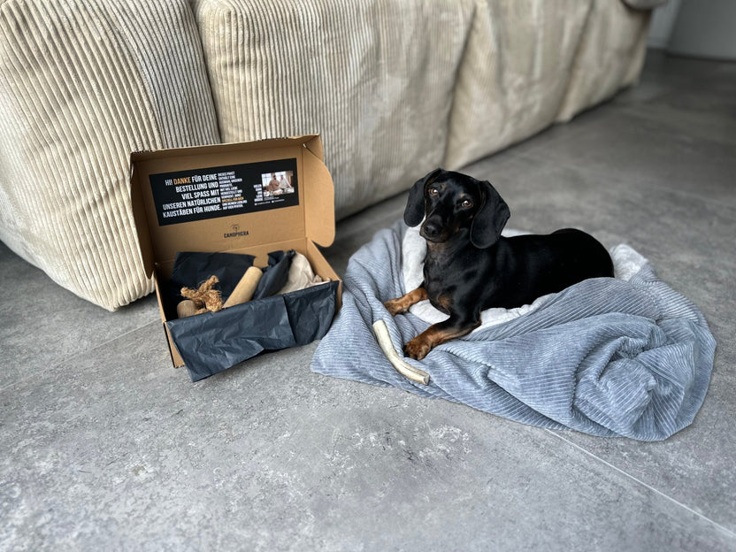 Gift Boxes – Canophera