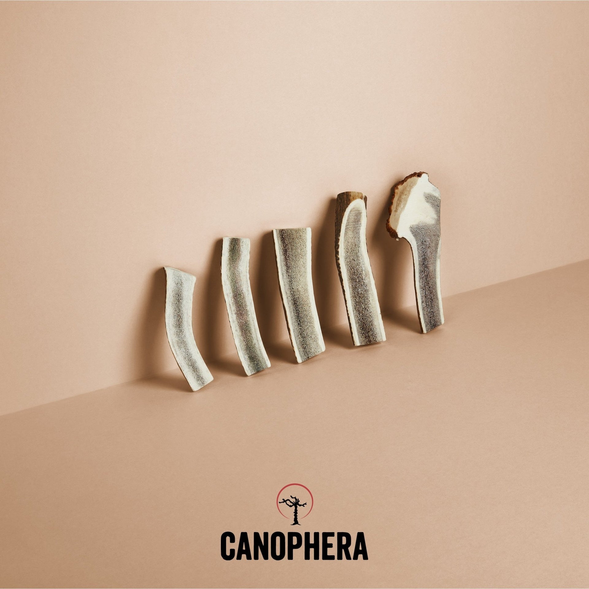 Coffee Wood Chews for Dogs | Sustainable & All-Natural from CANOPHERA ...