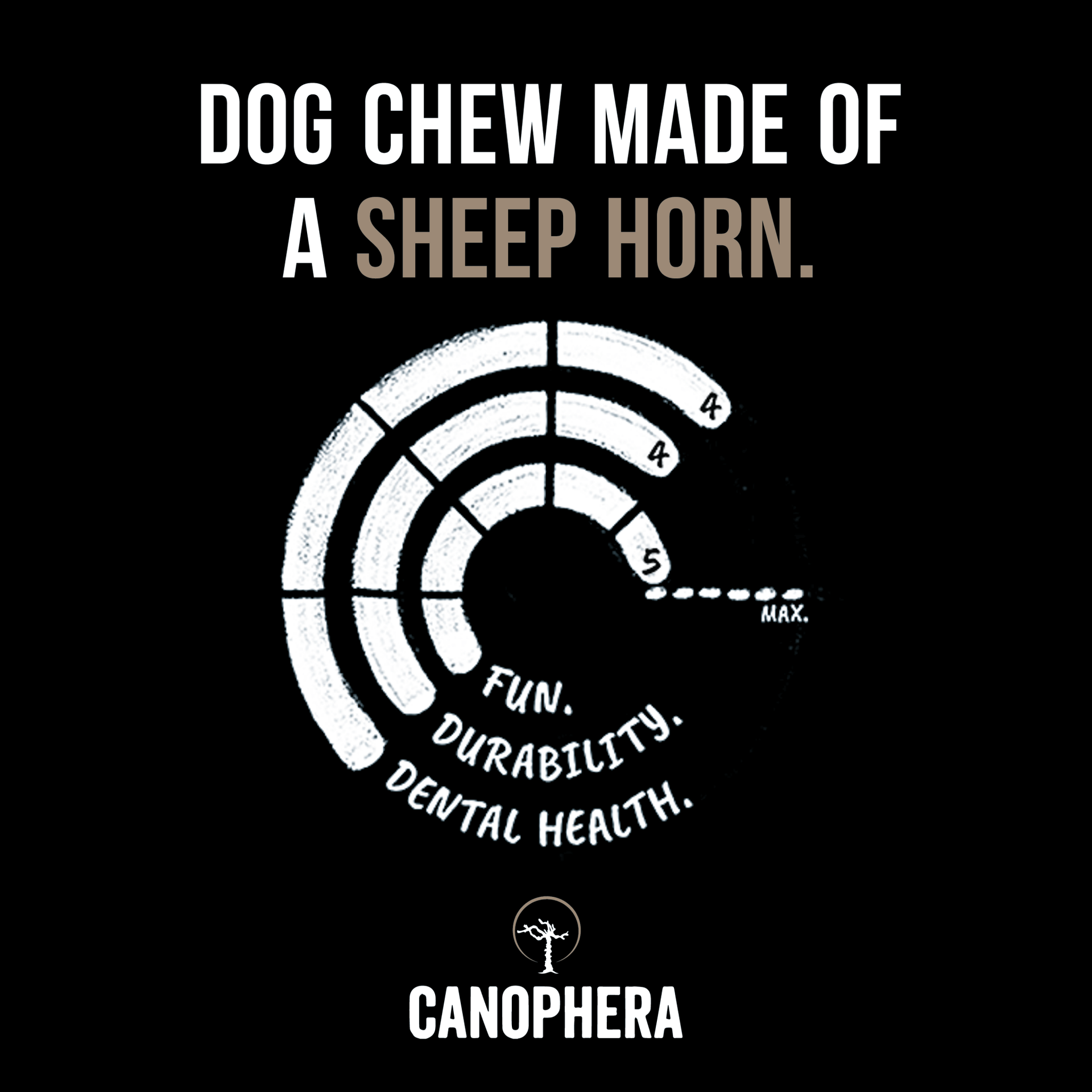 Sheep Horn Chews for Dogs | Durable & All-Natural from CANOPHERA ...